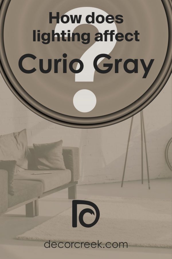 Curio Gray SW 0024 Paint Color by Sherwin Williams - DecorCreek