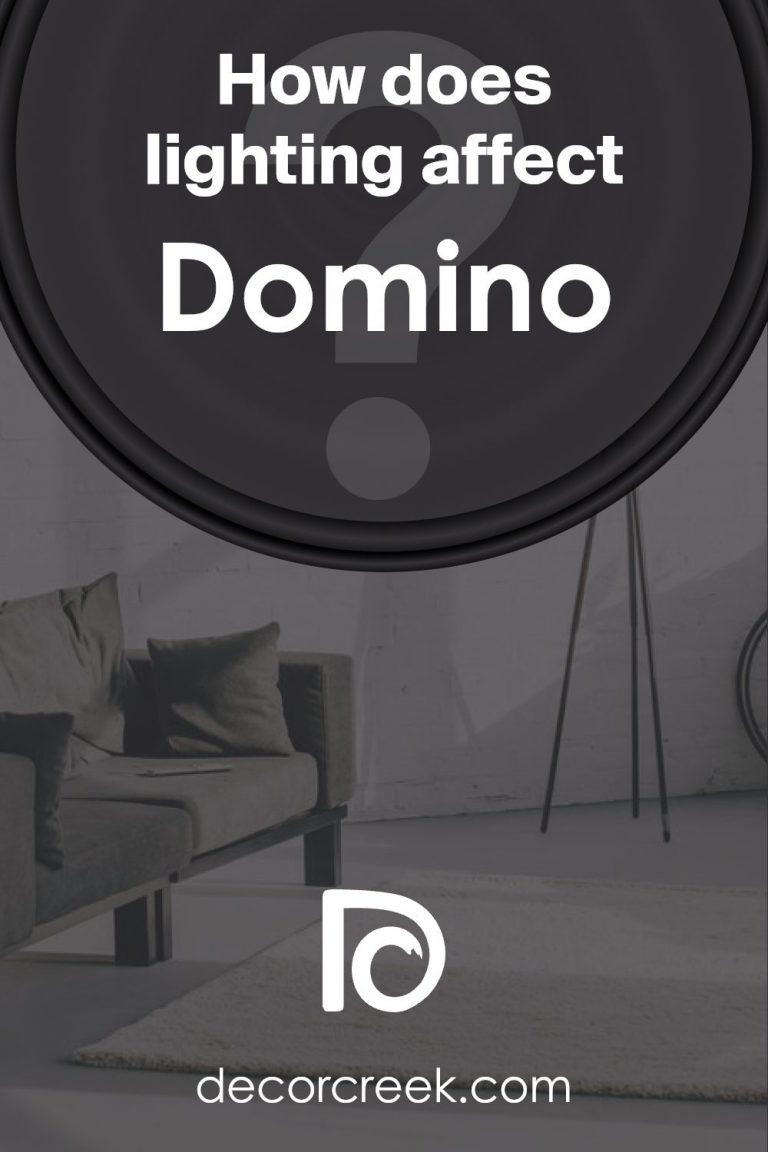 Domino SW 6989 Paint Color by Sherwin Williams - DecorCreek