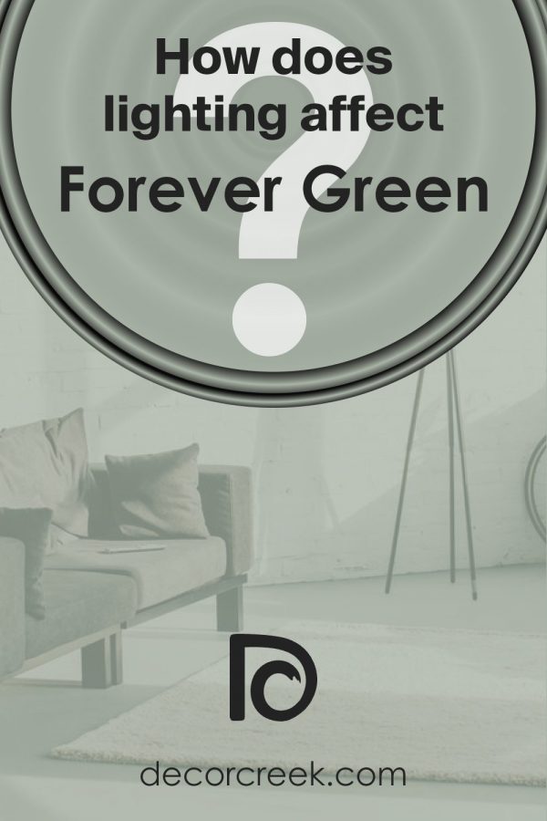 Forever Green SW 9653 Paint Color by Sherwin Williams - DecorCreek