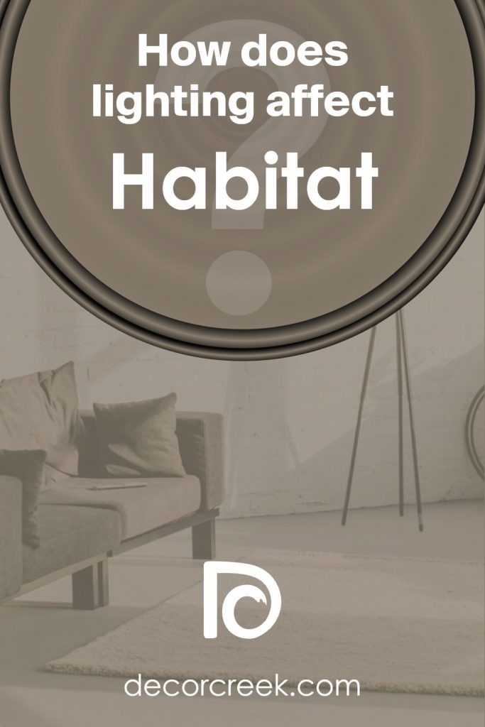 Habitat SW 9608 Paint Color by Sherwin Williams - DecorCreek