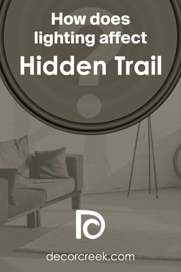 Hidden Trail SW 9525 Paint Color by Sherwin Williams - DecorCreek
