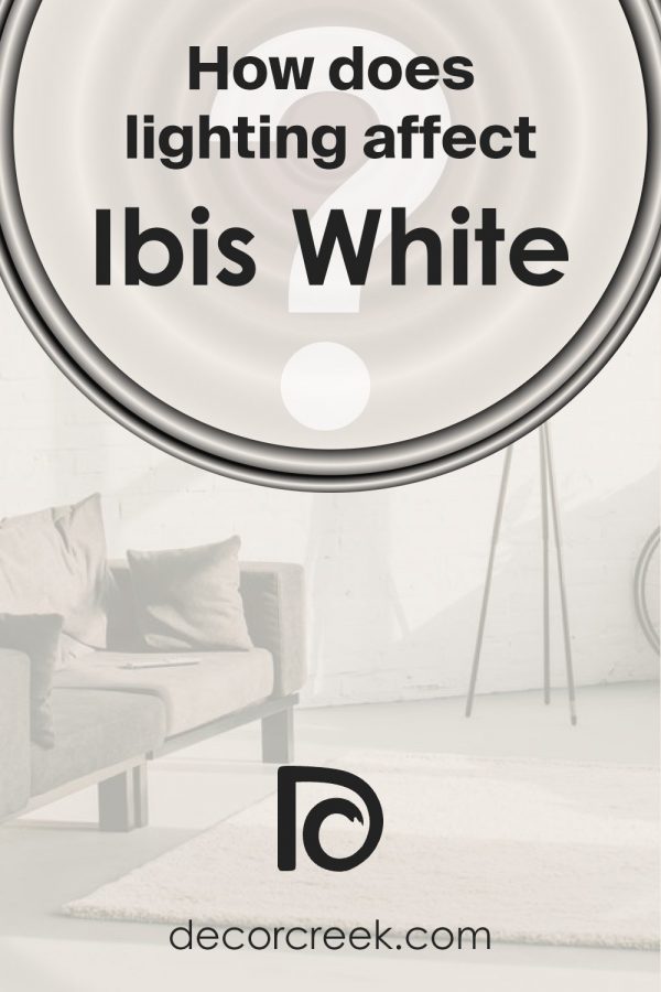 Ibis White SW 7000 Paint Color by Sherwin Williams - DecorCreek