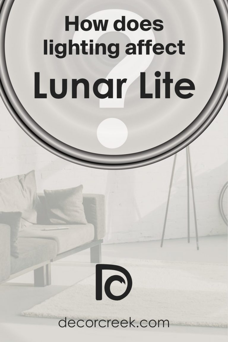 Lunar Lite SW 9546 Paint Color by Sherwin Williams - DecorCreek