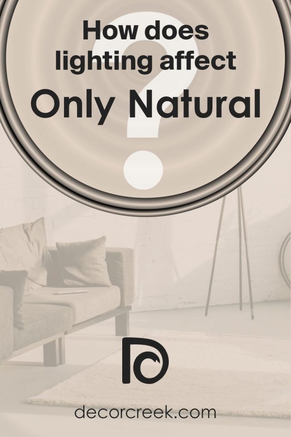 Only Natural SW 7596 Paint Color by Sherwin Williams - DecorCreek