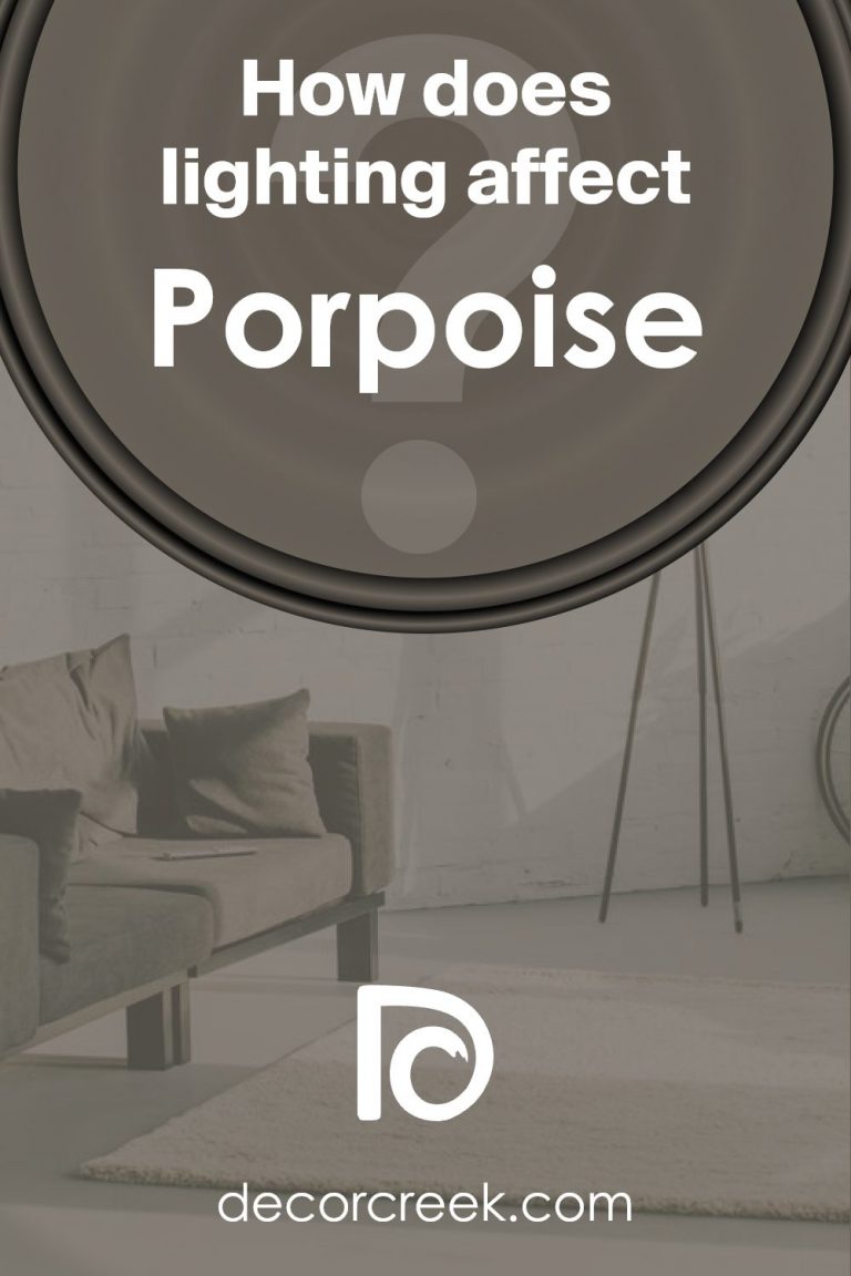 Porpoise SW 7047 Paint Color by Sherwin Williams - DecorCreek