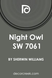 Night Owl SW 7061 Paint Color by Sherwin Williams - DecorCreek
