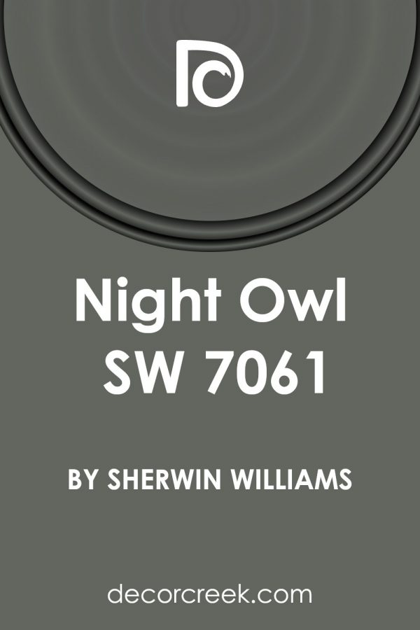Night Owl SW 7061 Paint Color by Sherwin Williams - DecorCreek