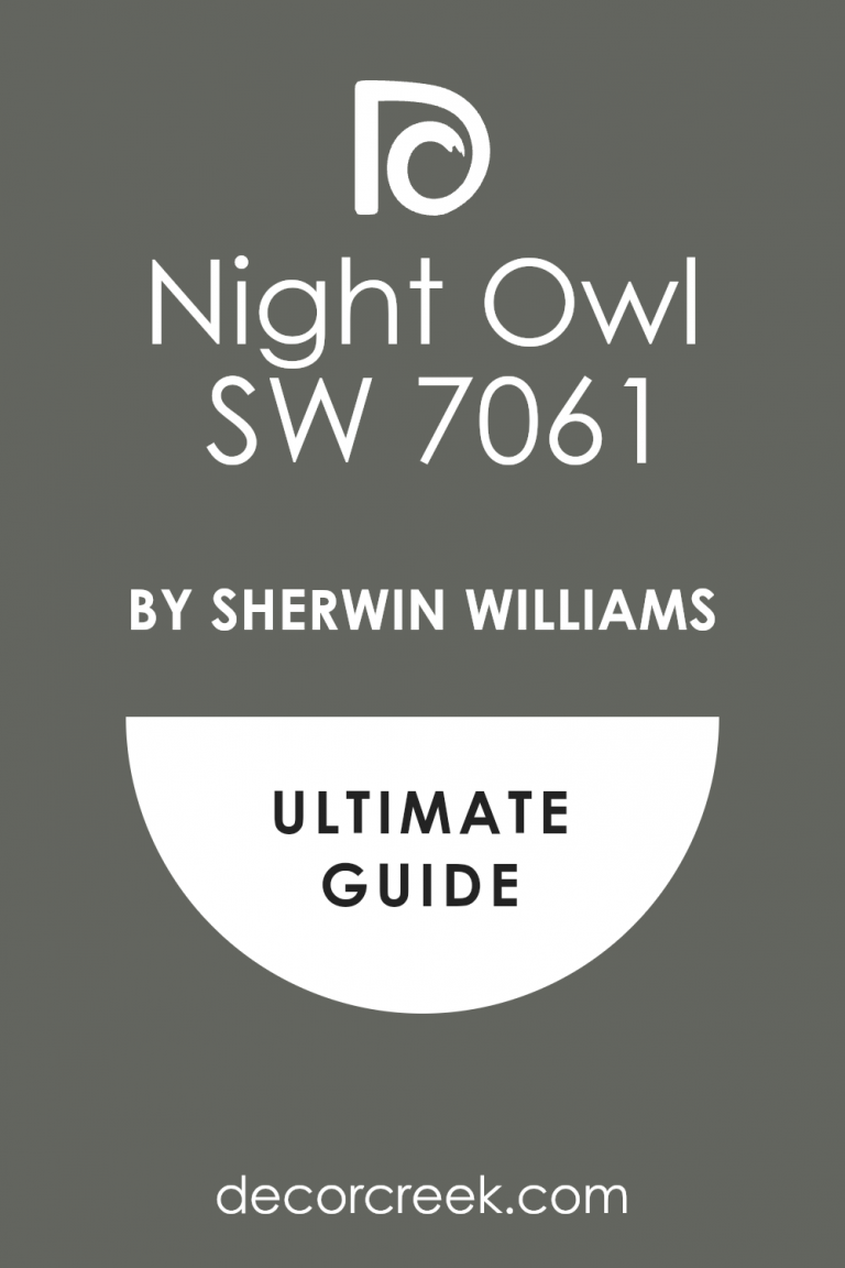 Night Owl SW 7061 Paint Color by Sherwin Williams - DecorCreek