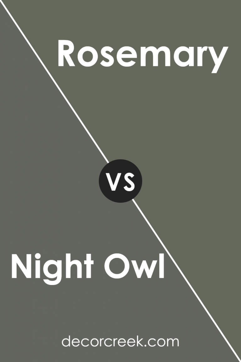 Night Owl SW 7061 Paint Color by Sherwin Williams - DecorCreek