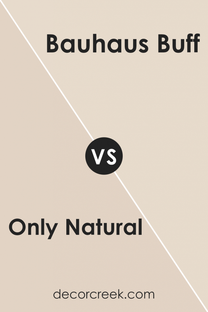 Only Natural SW 7596 Paint Color by Sherwin Williams - DecorCreek