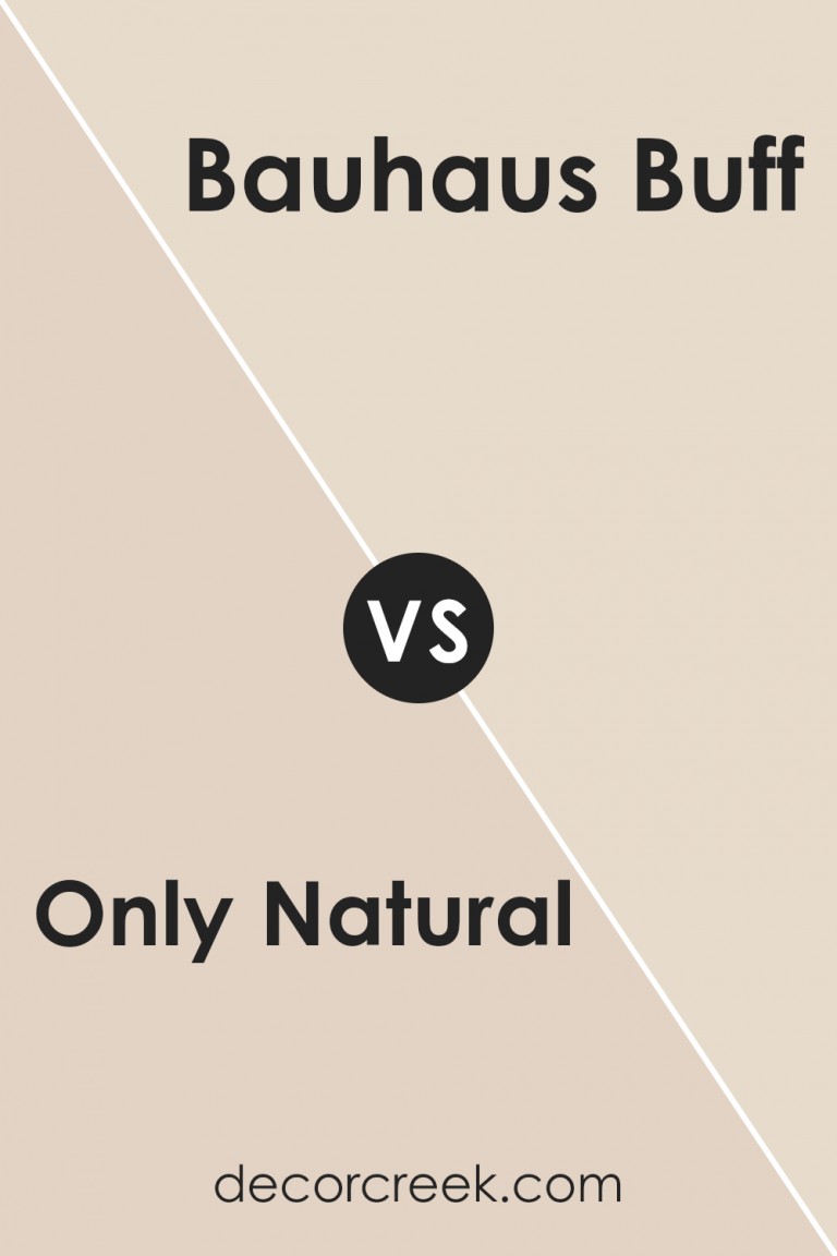 Only Natural SW 7596 Paint Color by Sherwin Williams - DecorCreek