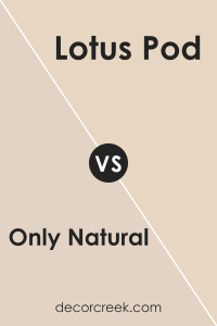 Only Natural SW 7596 Paint Color by Sherwin Williams - DecorCreek