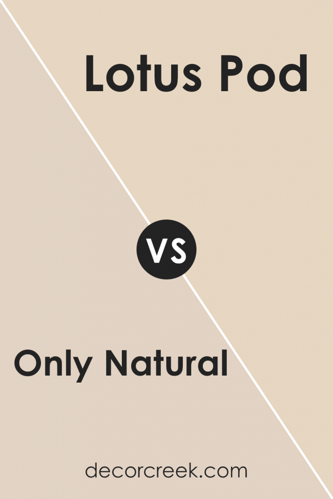 Only Natural SW 7596 Paint Color by Sherwin Williams - DecorCreek