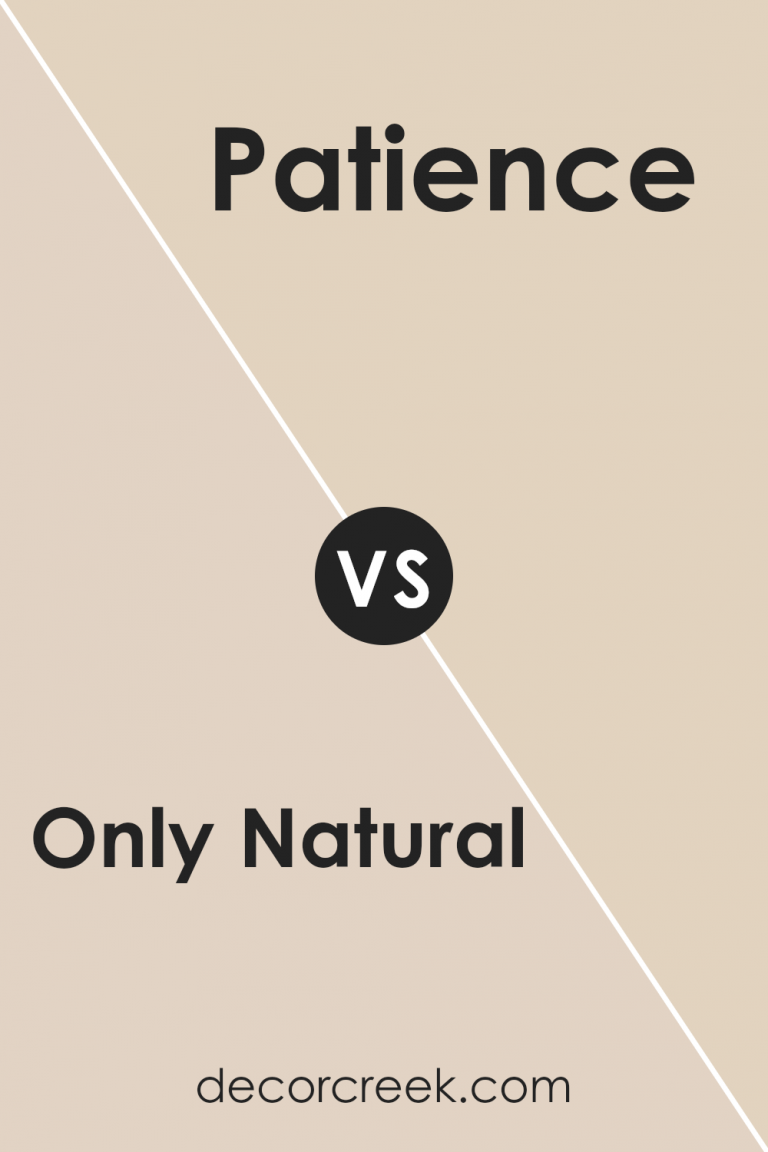Only Natural SW 7596 Paint Color by Sherwin Williams - DecorCreek