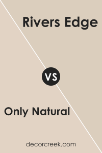 Only Natural SW 7596 Paint Color by Sherwin Williams - DecorCreek