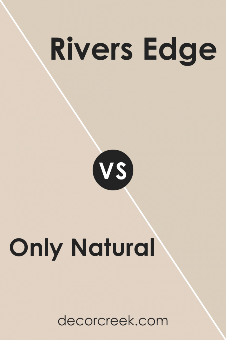 Only Natural SW 7596 Paint Color by Sherwin Williams - DecorCreek