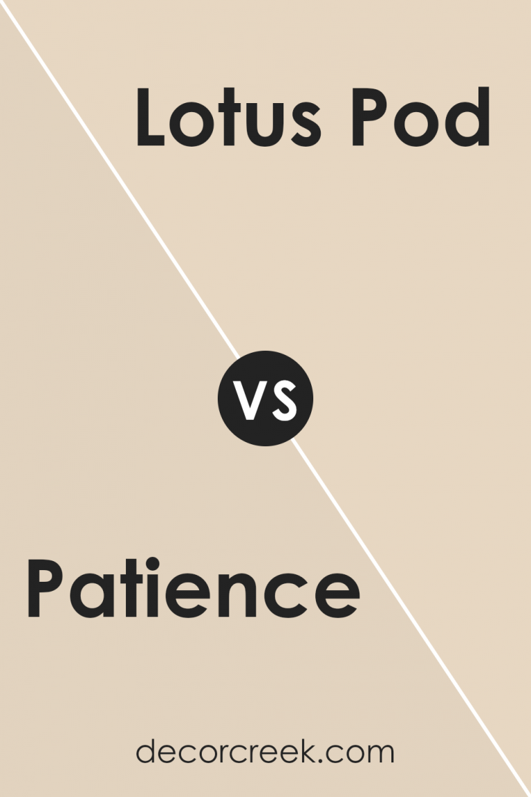 Patience SW 7555 Paint Color by Sherwin Williams - DecorCreek