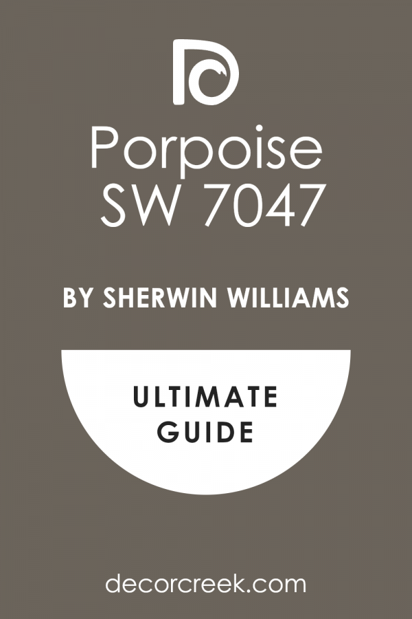 Porpoise SW 7047 Paint Color by Sherwin Williams - DecorCreek
