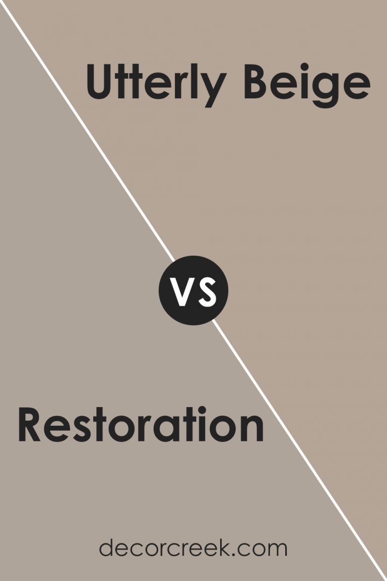 Restoration SW 9578 Paint Color by Sherwin Williams - DecorCreek