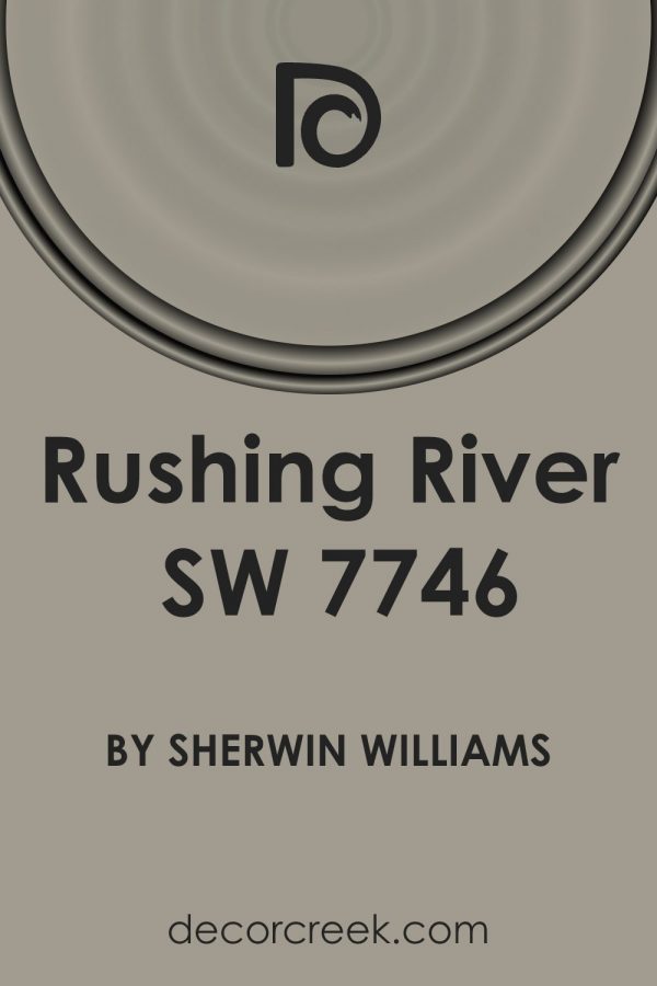 Rushing River SW 7746 Paint Color by Sherwin Williams - DecorCreek