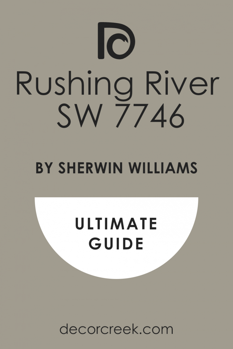 Rushing River SW 7746 Paint Color by Sherwin Williams - DecorCreek