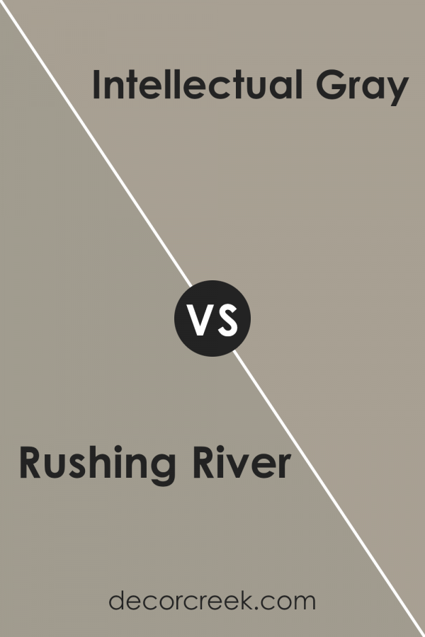Rushing River SW 7746 Paint Color by Sherwin Williams - DecorCreek