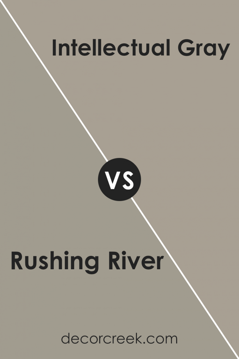 Rushing River SW 7746 Paint Color by Sherwin Williams - DecorCreek