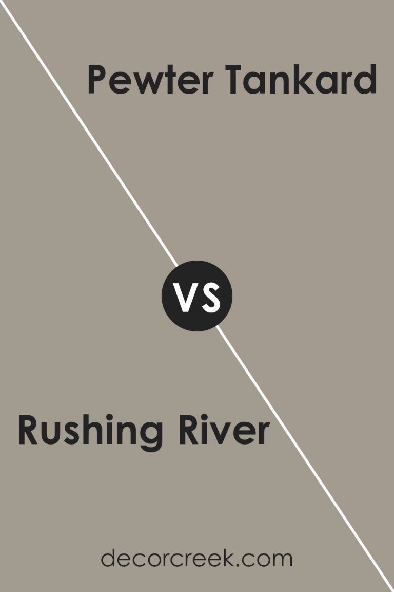 Rushing River SW 7746 Paint Color by Sherwin Williams - DecorCreek