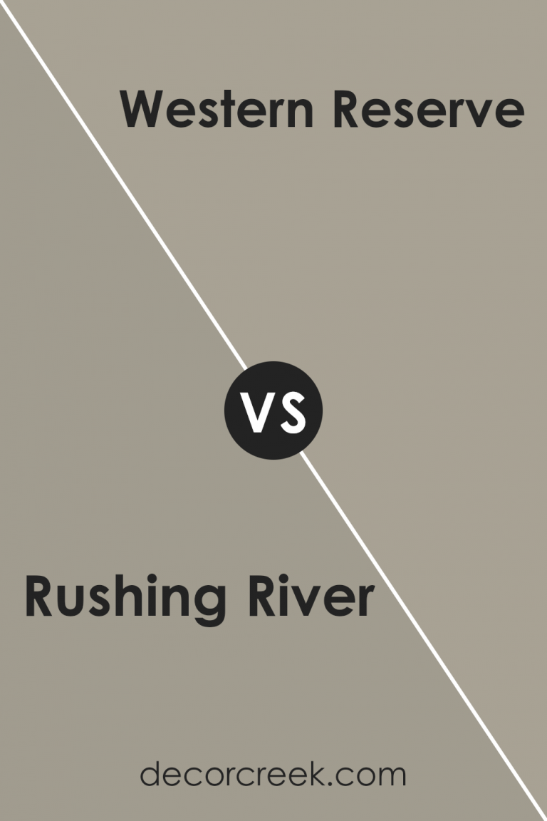 Rushing River SW 7746 Paint Color by Sherwin Williams - DecorCreek