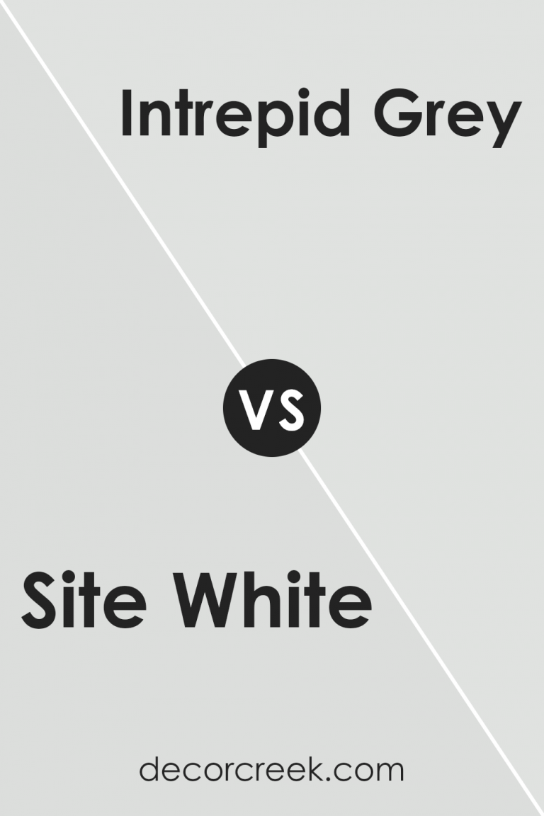 Site White SW 7070 Paint Color by Sherwin Williams - DecorCreek