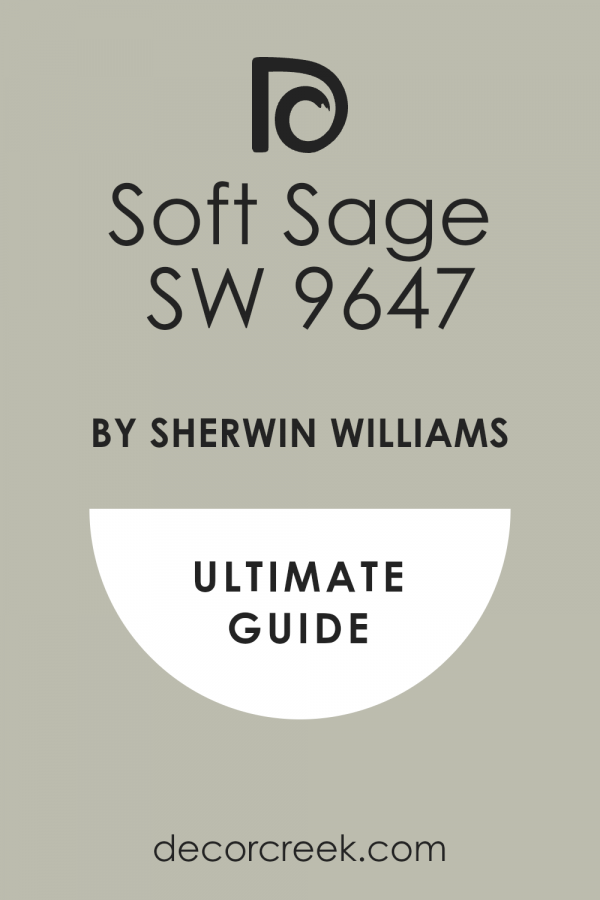 Soft Sage SW 9647 Paint Color by Sherwin Williams - DecorCreek