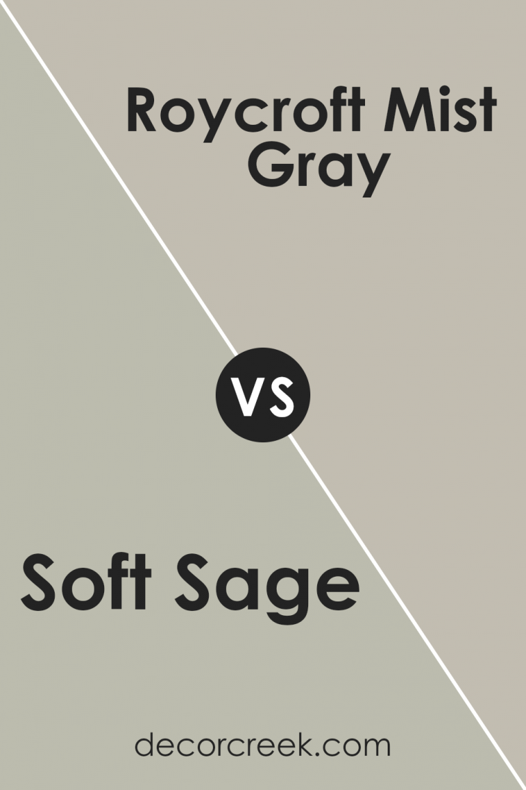 Soft Sage SW 9647 Paint Color by Sherwin Williams - DecorCreek