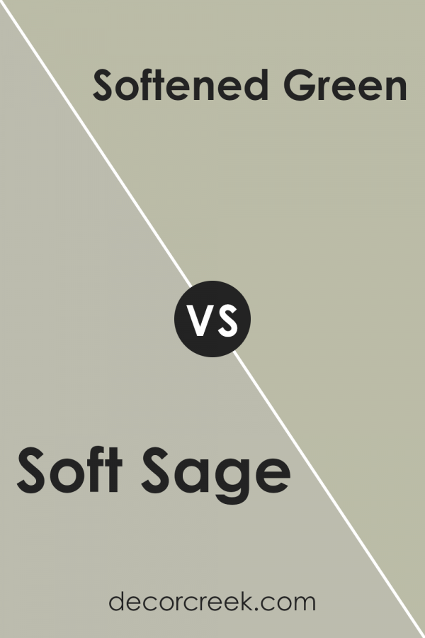 Soft Sage SW 9647 Paint Color by Sherwin Williams - DecorCreek