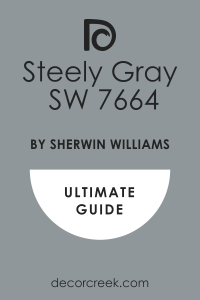Steely Gray SW 7664 Paint Color by Sherwin Williams - DecorCreek