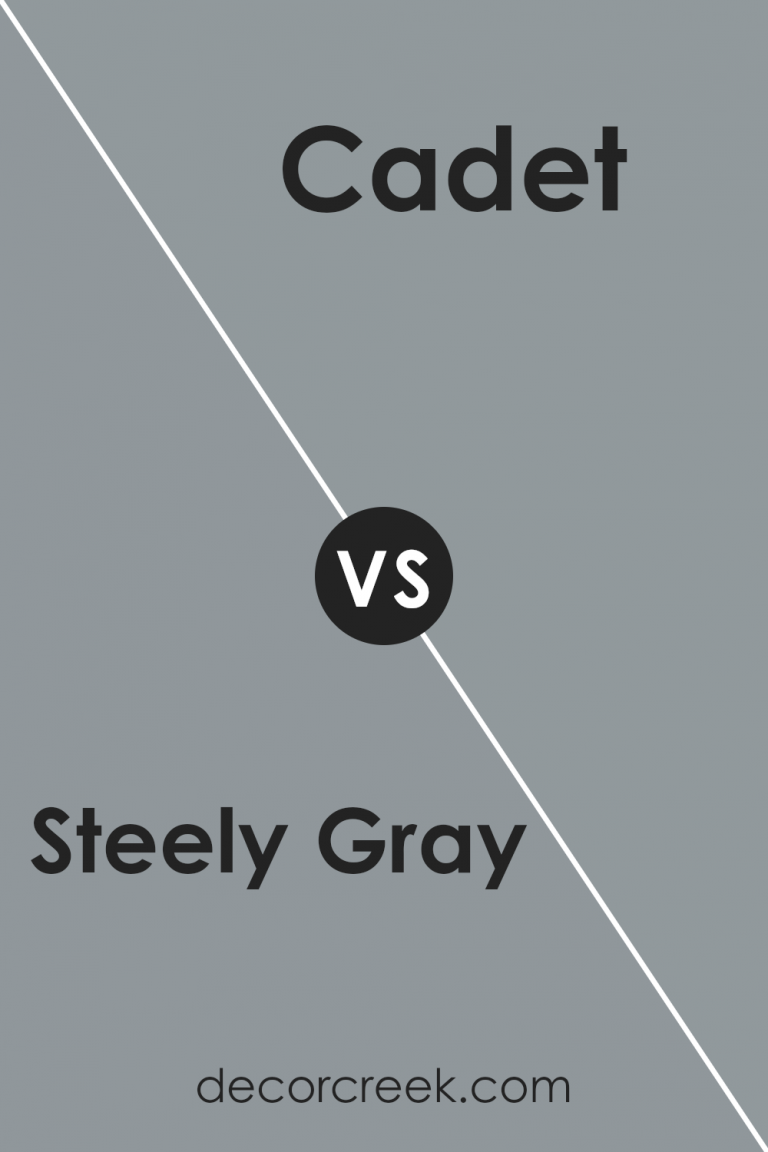 Steely Gray SW 7664 Paint Color by Sherwin Williams - DecorCreek