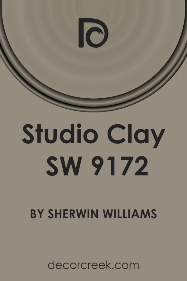 Studio Clay SW 9172 Paint Color by Sherwin Williams - DecorCreek