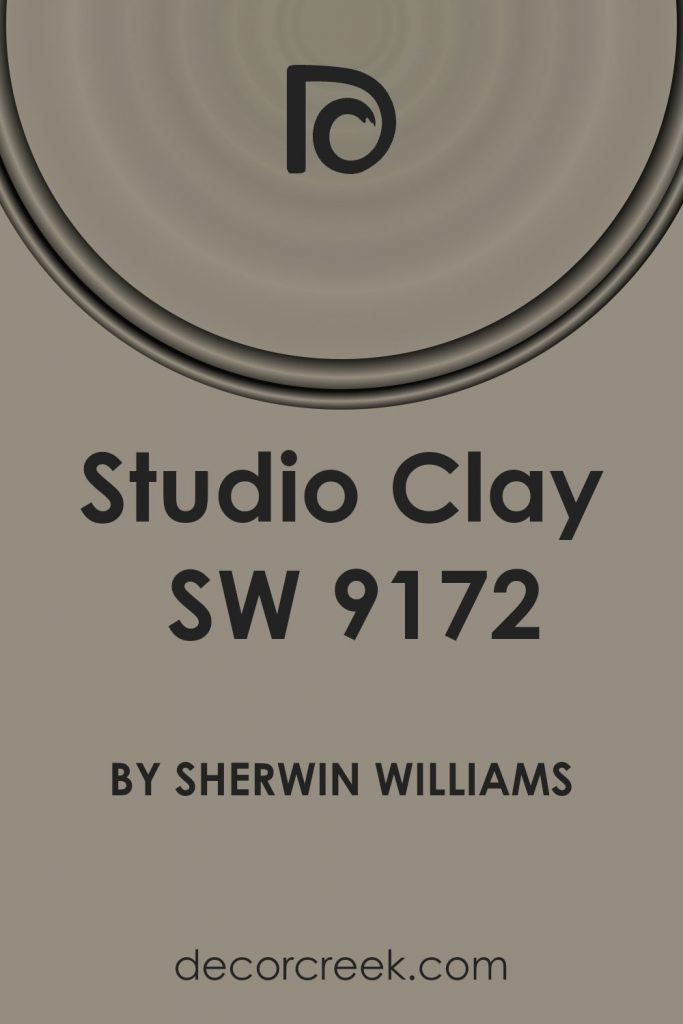 Studio Clay SW 9172 Paint Color by Sherwin Williams - DecorCreek
