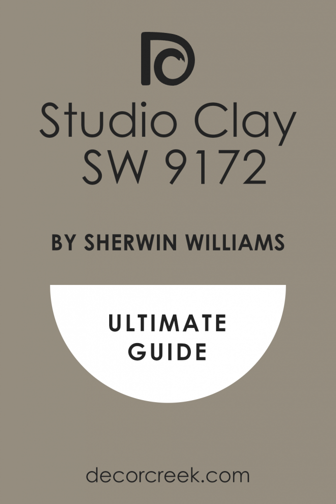 Studio Clay SW 9172 Paint Color by Sherwin Williams - DecorCreek
