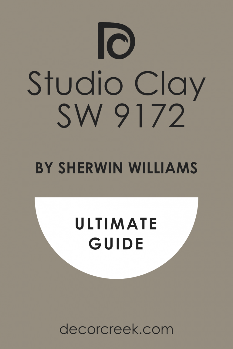 Studio Clay SW 9172 Paint Color by Sherwin Williams - DecorCreek