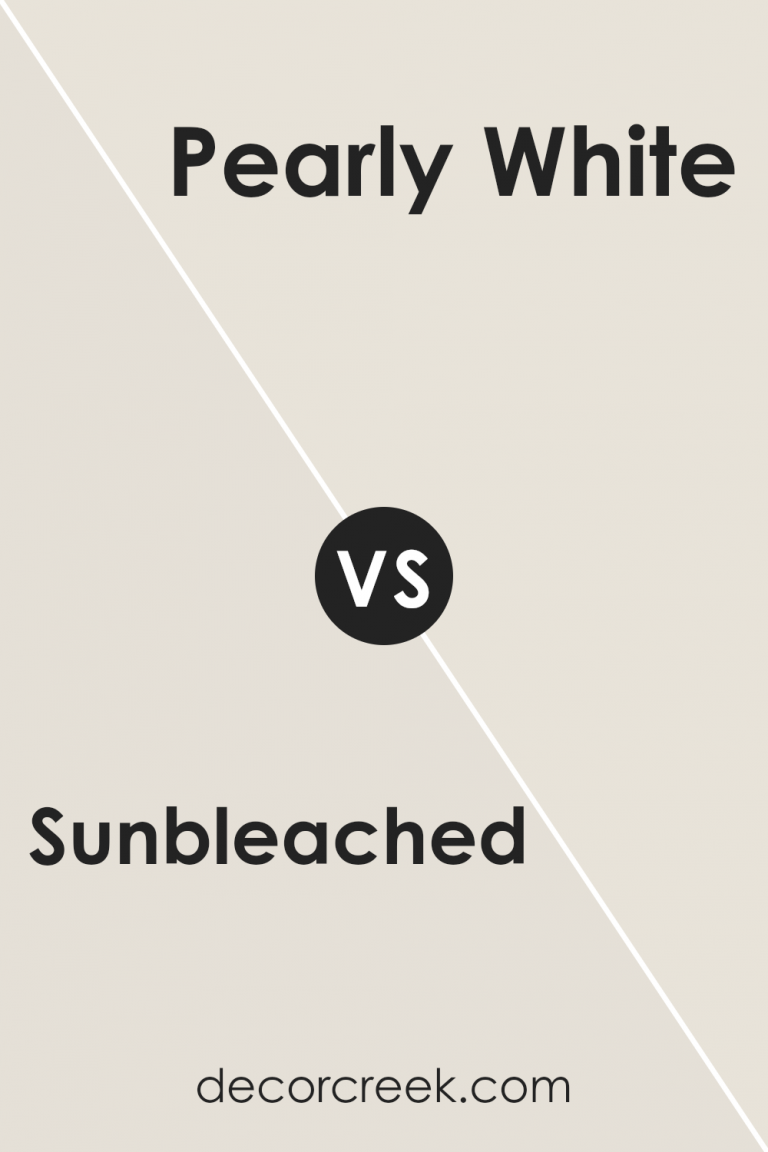 Sunbleached SW 9585 Paint Color by Sherwin Williams - DecorCreek