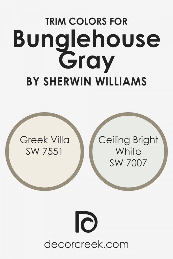 Bunglehouse Gray SW 2845 Paint Color by Sherwin Williams - DecorCreek