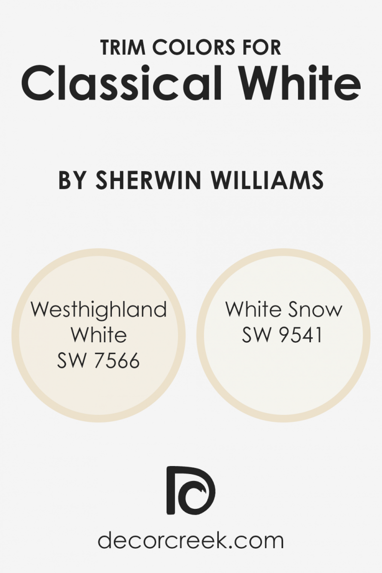 Classical White SW 2829 Paint Color by Sherwin Williams - DecorCreek
