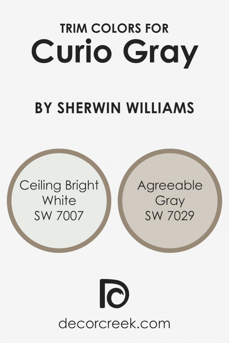 Curio Gray SW 0024 Paint Color by Sherwin Williams - DecorCreek