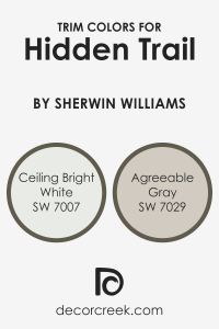 Hidden Trail SW 9525 Paint Color by Sherwin Williams - DecorCreek