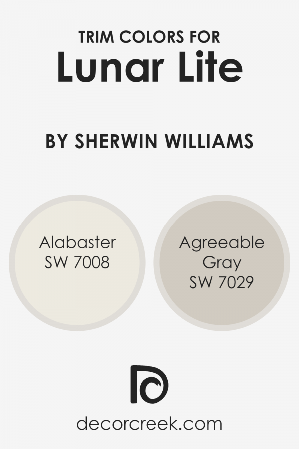 Lunar Lite SW 9546 Paint Color by Sherwin Williams - DecorCreek