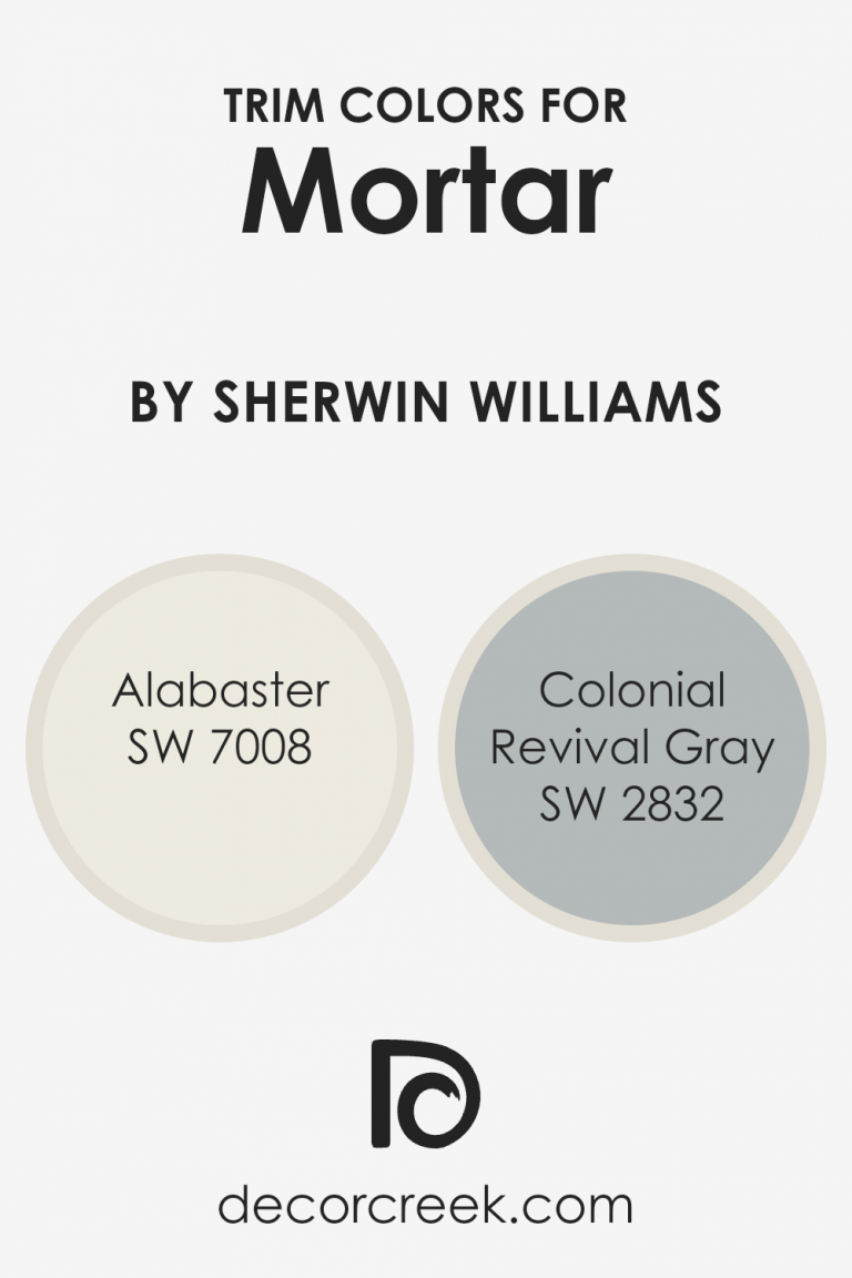 Mortar SW 9584 Paint Color by Sherwin Williams - DecorCreek