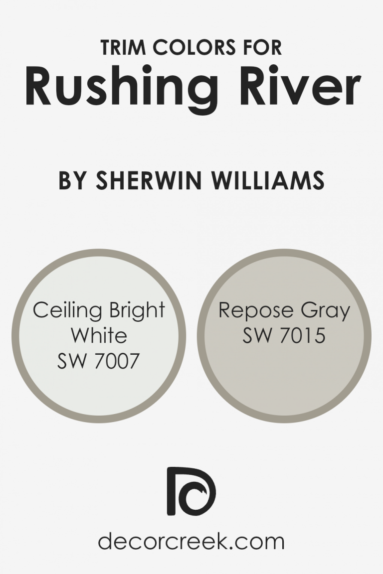 Rushing River SW 7746 Paint Color by Sherwin Williams - DecorCreek