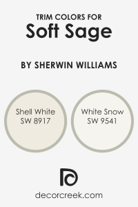Soft Sage SW 9647 Paint Color by Sherwin Williams - DecorCreek