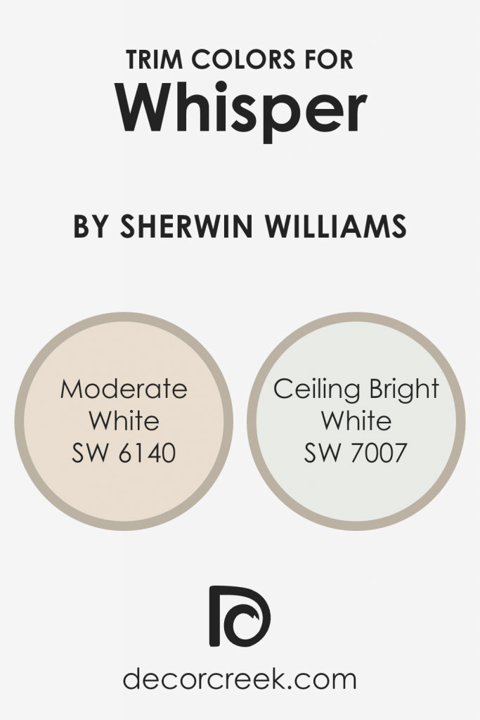 Whisper SW 9591 Paint Color by Sherwin Williams - DecorCreek