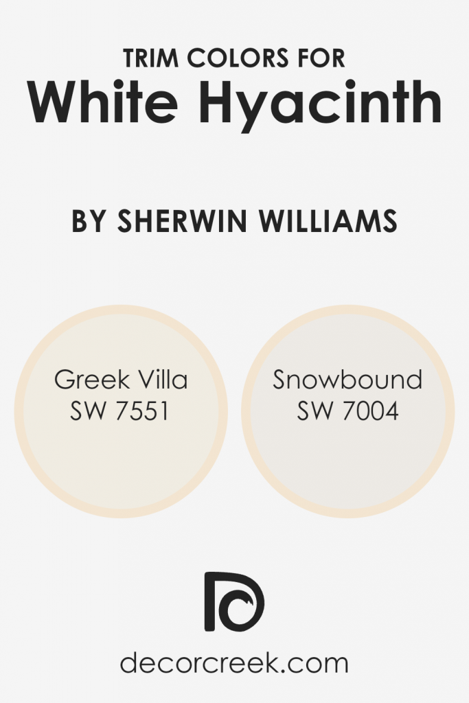White Hyacinth SW 0046 Paint Color by Sherwin Williams - DecorCreek